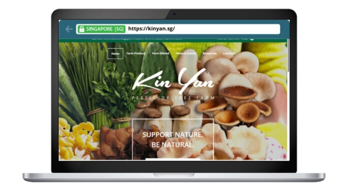 Top 10 Best Vegetable Farms in Singapore for 2026